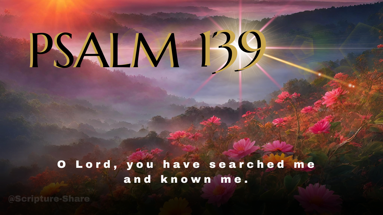 Wonderful Created By Him A Journey Into God s Understanding Psalm 139 Wonderful Created By Him A Journey Into God s Understanding Psalm 139