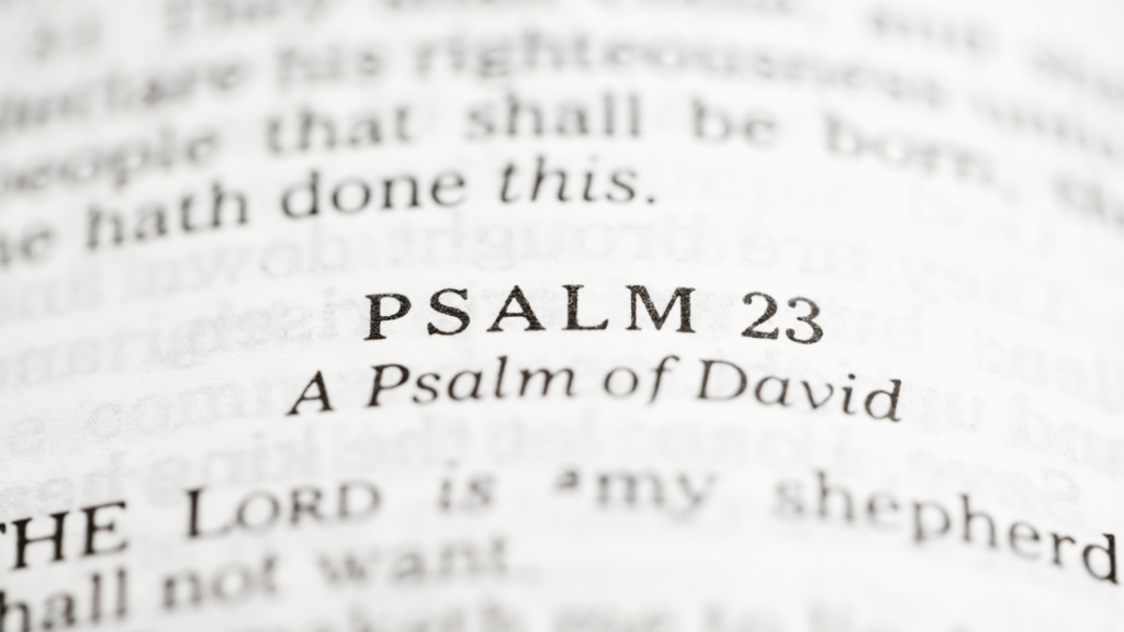 The Life of Psalmist David: A Brief Overview