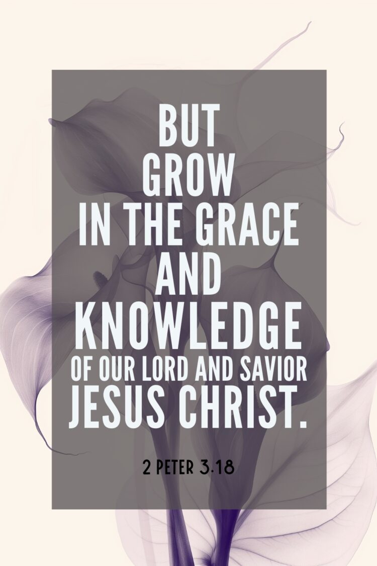 10 Spiritual Growth Verses To Say Each Day