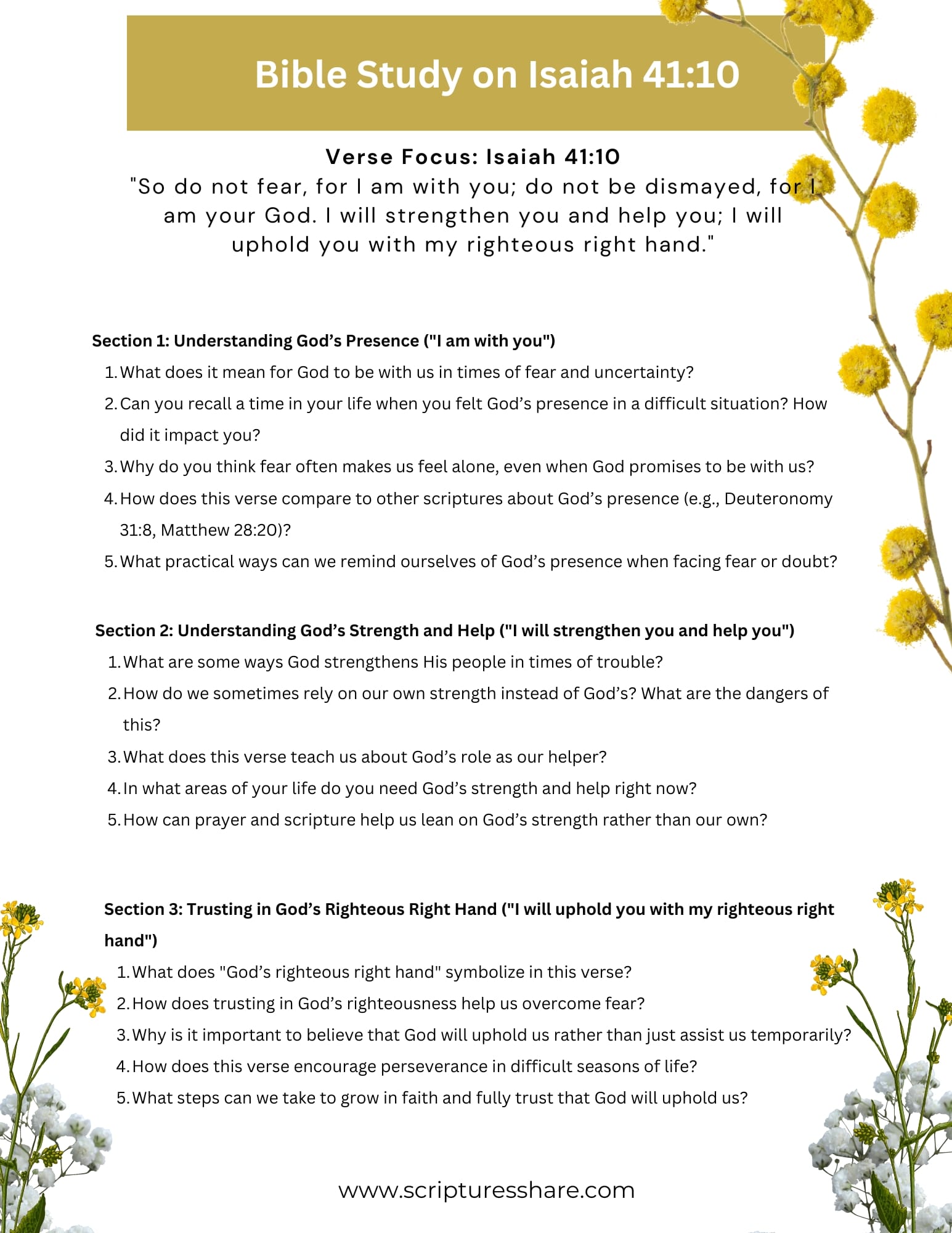 Bible Study PDF Sheets