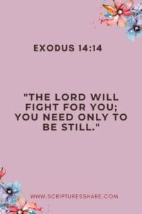 When God Fights For You: The Comfort Of Exodus 14:14