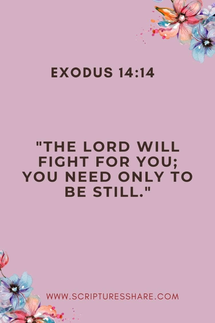 When God Fights For You: The Comfort Of Exodus 14:14