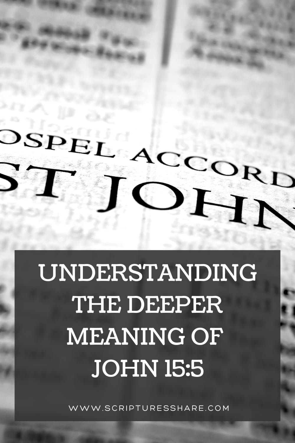 Understanding The Deeper Meaning F John 15:5
