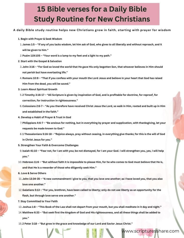 Daily Bible Study Routine For New Christians