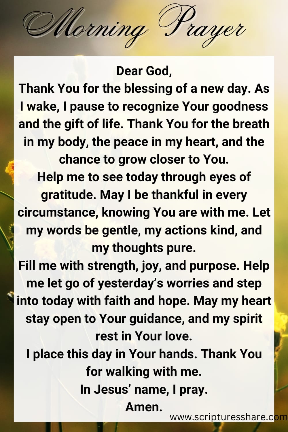 A Beautiful Morning Gratitude Prayer For Every Day